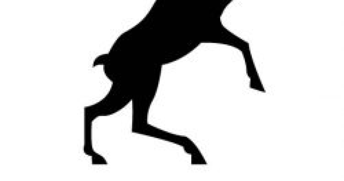 Bohunt Education Trust | MyTutor